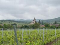 Alsas-Loren (Alsace-Lorraine) Gezi Rehberi | Küçük Dünya | Gezi Rehberi