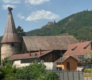 Alsas-Loren (Alsace-Lorraine) Gezi Rehberi | Küçük Dünya | Gezi Rehberi